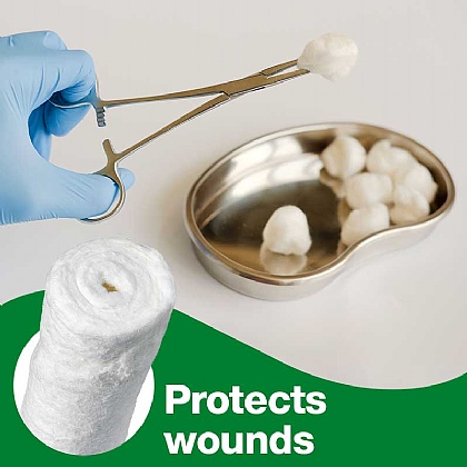 Cotton Tipped Wooden Applicators | Cotton Wool | Safety First Aid